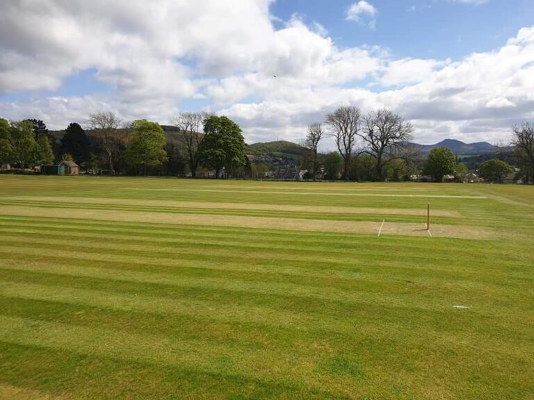 Meigle Park News: 2 September – Gala Cricket Club